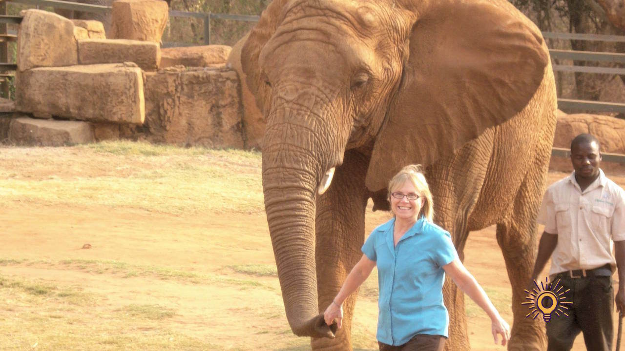 What's Really Possible - Let’s Create a Better Future